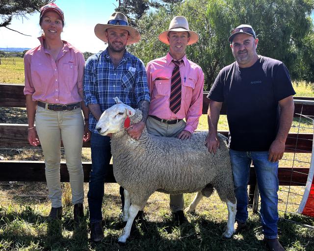 Florance family host Border Leicester ram sale on Kangaroo Island | The ...