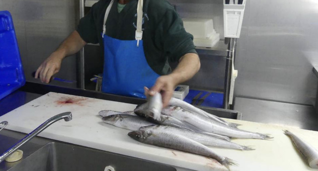 Digital system to trade fishing quotas | The Islander