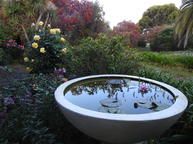 Spring into garden festival | The Islander