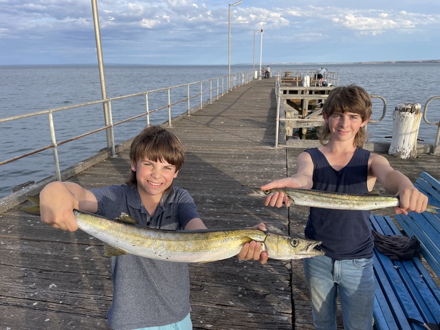 Big jetty snook at Kingscote on Kangaroo Island | The Islander