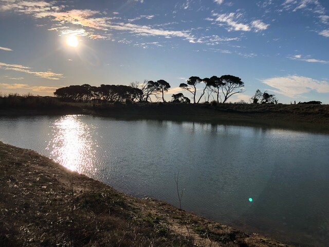 Stokes Bay Farm field day | The Islander