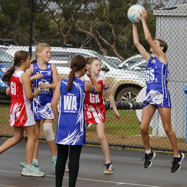 KI Netball: Parndana hosts Wisanger in Round 5 | The Islander