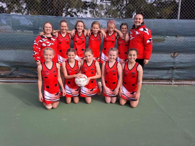KI netball junior representative teams travel to Mid Hills Carnival ...
