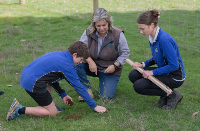 Parndana students get hands dirty for a cleaner, greener future in ...