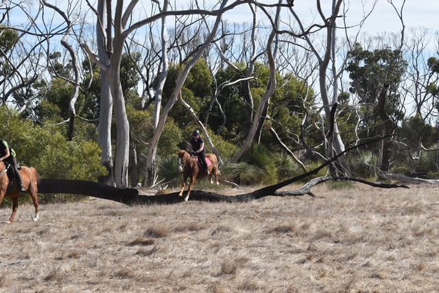Kangaroo Island Hunt Club to celebrate 50th anniversary | The Islander