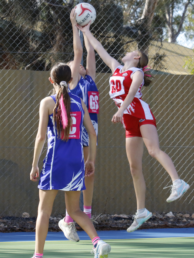 Parndana wins A Grade netball at Wisanger | The Islander