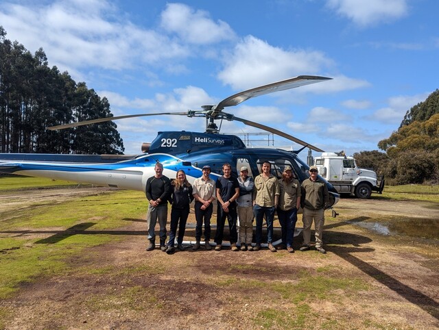 Surveillance for KI feral pigs funded as eradication reaches final ...