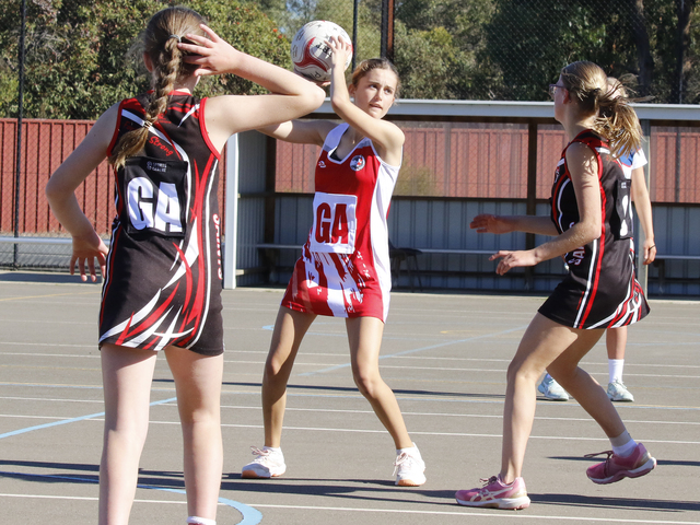 Netball action from Parndana: PHOTOS | The Islander