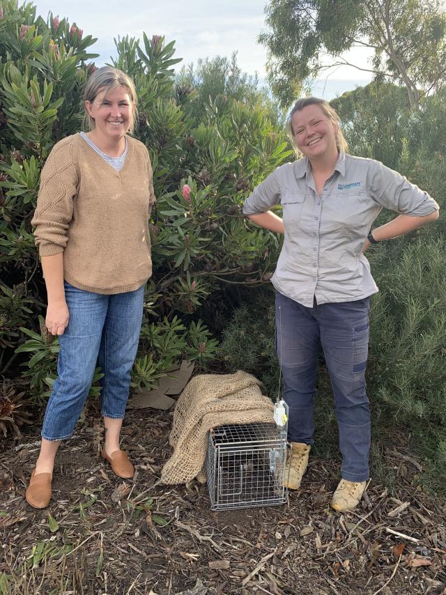 Dudley Peninsula landholders help trap 187 feral cats in winter blitz ...