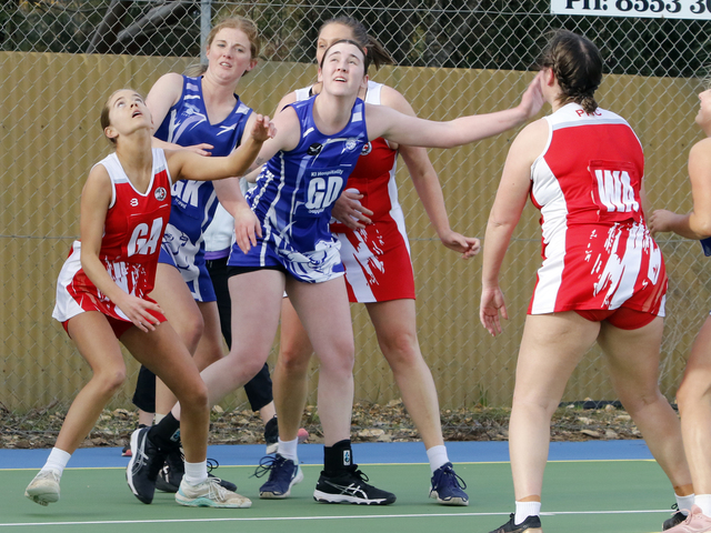 Special netball day for Parndana at Wisanger | The Islander