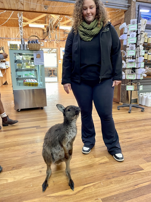 Heritage in focus at Emu Ridge Eucalyptus as family ownership ...