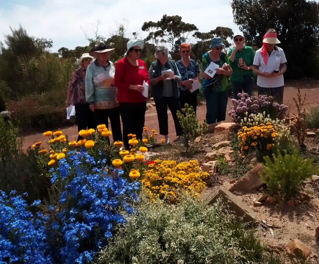 Spring outing for KI Probus Club | The Islander