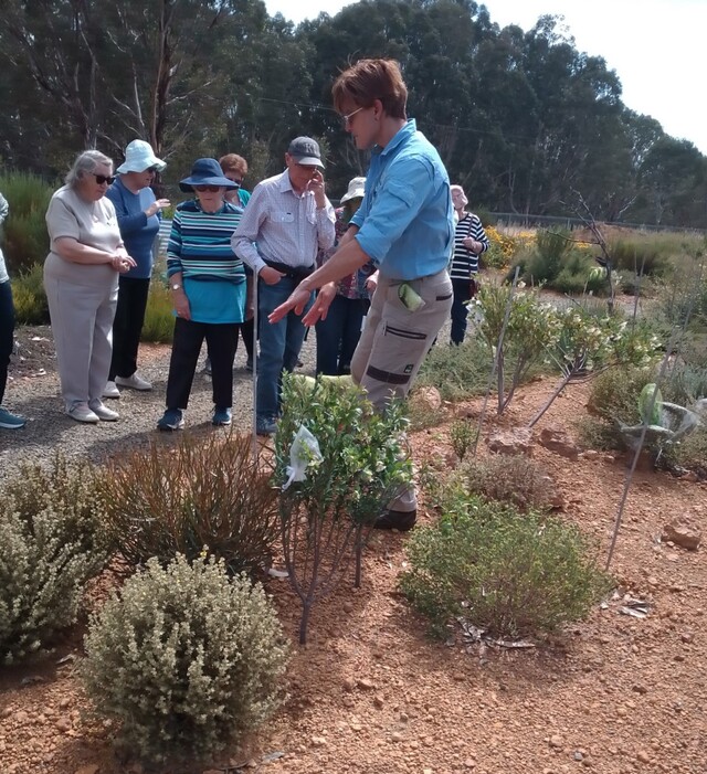 Probus ends year at rare plant garden, KI Spirits | The Islander