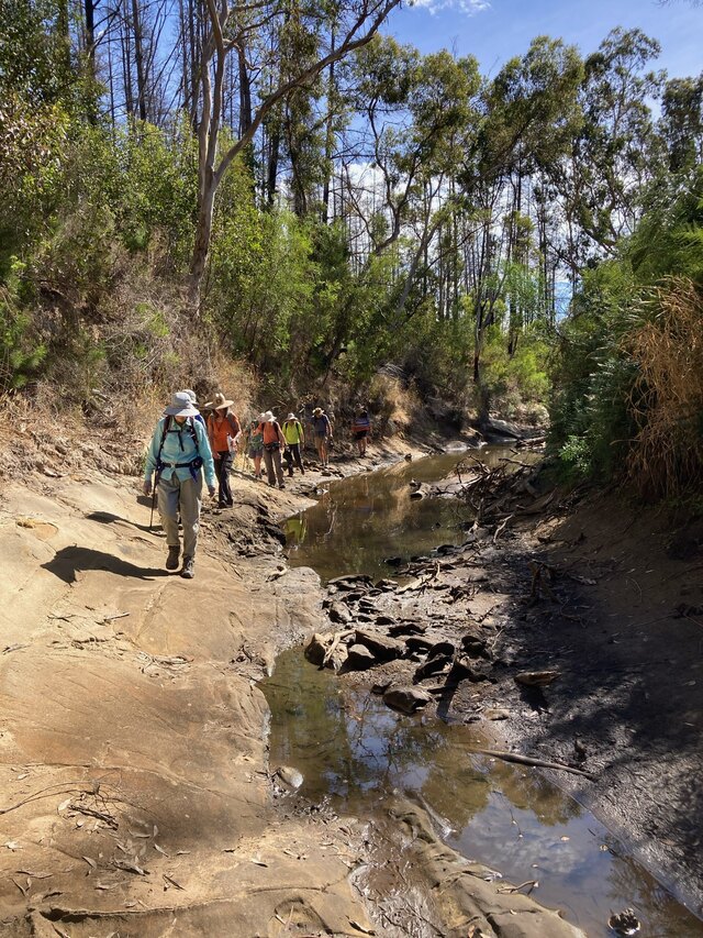 KI Walking Club tackles obstacle course through Huxtable Forest | The ...