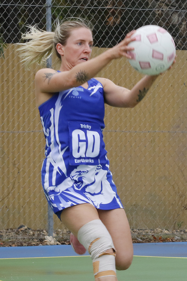 Netball reports from Western Districts, D-Grade photos from Wisanger ...