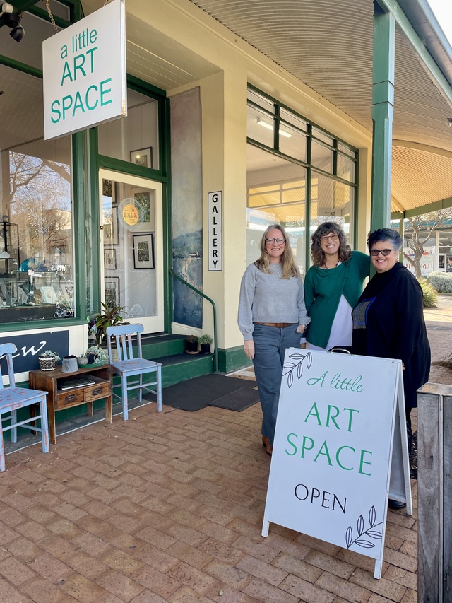 A Little Art Space to host SALA exhibition ‘By the Wintering Sea’ | The Islander