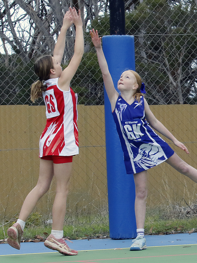 Wisanger versus Parndana netball action from Panther Park: PHOTOS | The ...